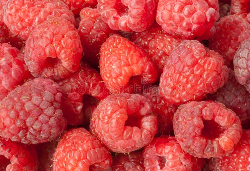 Raspberry Close-up. Right on a Blue Wooden Table Several Red ...