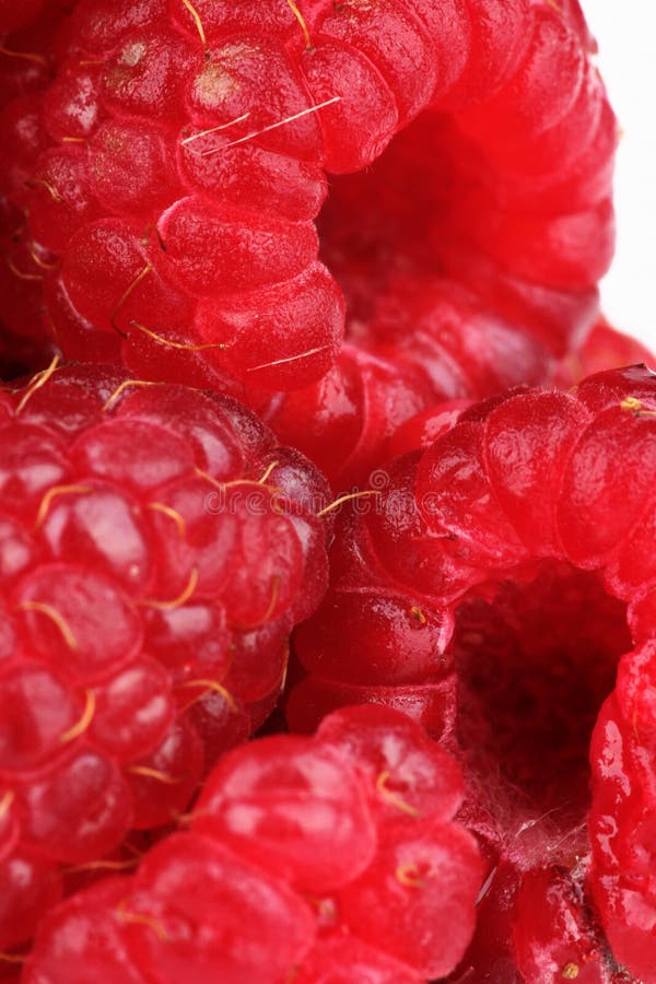 Raspberry close up stock photo. Image of close, fruity - 15892232