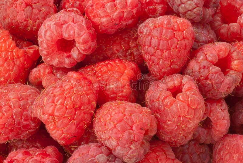 Vitamins. Summer Berries. Raspberries Background. Close Up, Top View ...