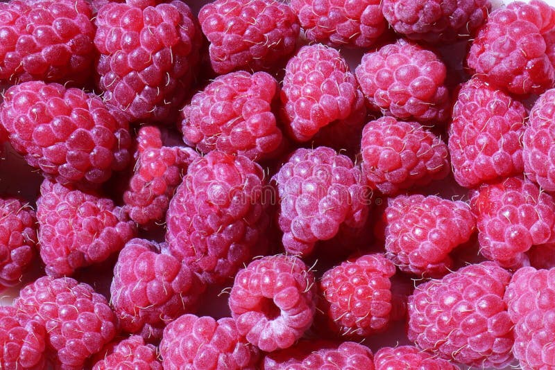 Raspberry Close-up Background Full-frame Stock Image - Image of ...