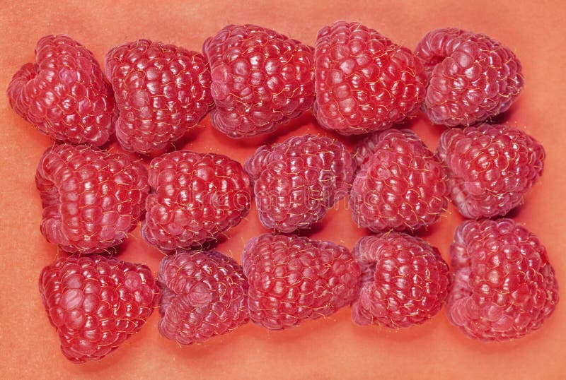 Raspberry close-up stock photo. Image of gourmet, delicious - 132342464