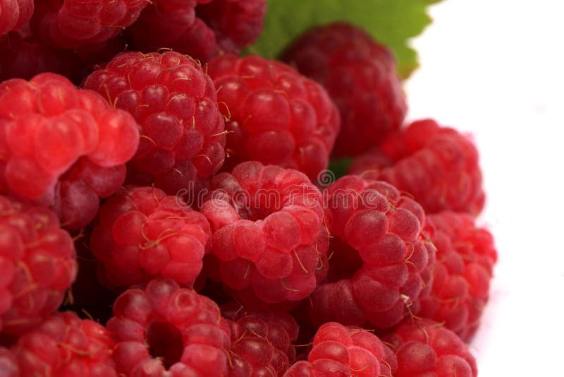 Raspberry Close-up of Isolate Stock Image - Image of raspberry, organic ...