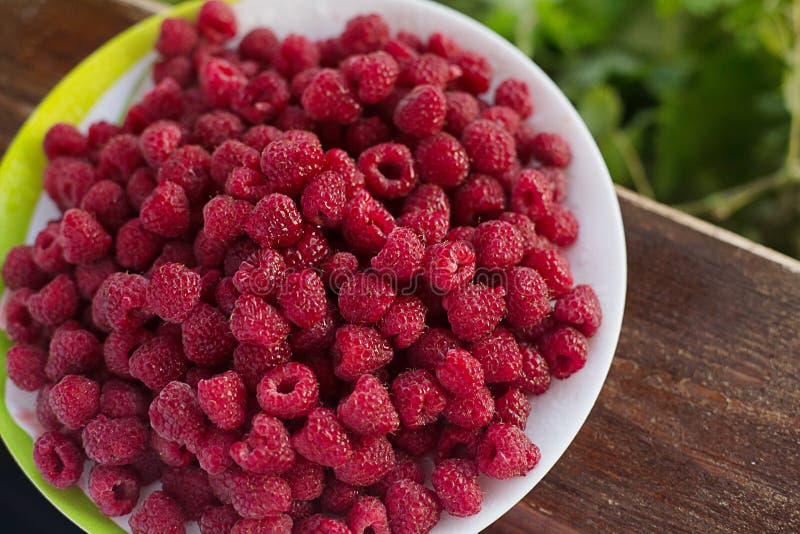 Raspberry Close Up Macro on a Plate Stock Photo - Image of organic ...