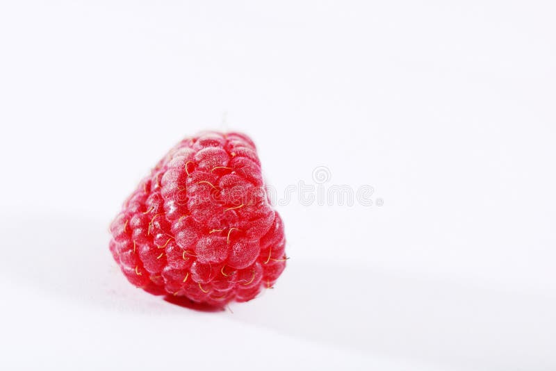 Raspberry close-up stock photo. Image of fruits, raspberry - 44236188