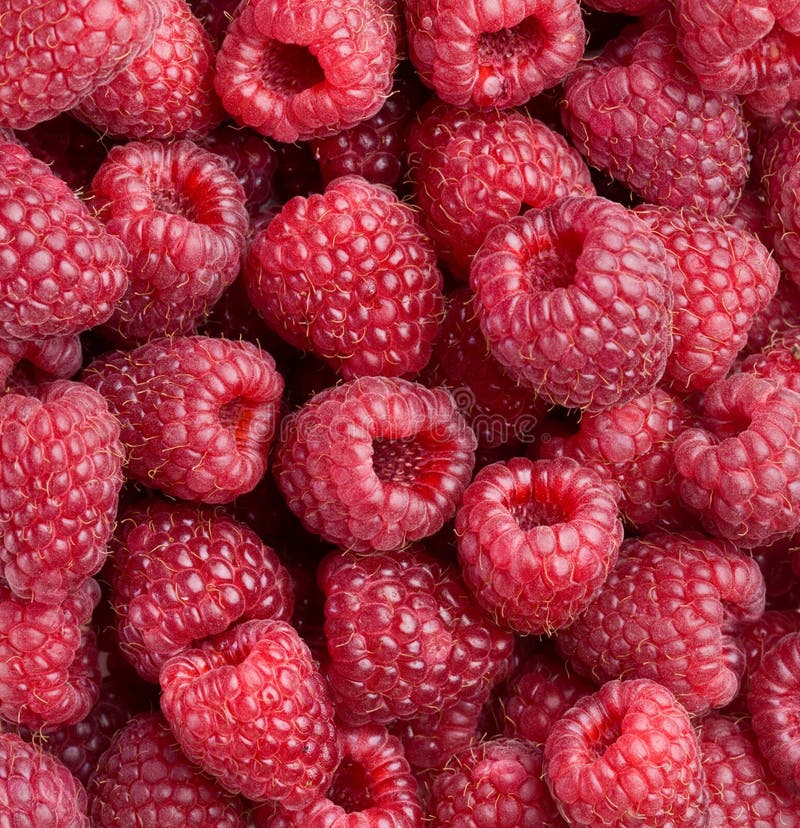Raspberry close-up. stock image. Image of horizontal - 30352283
