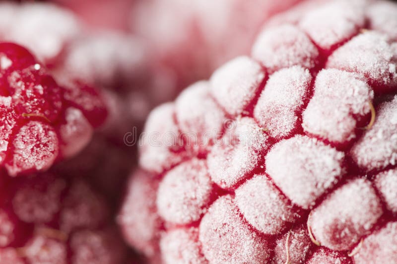 Red Raspberry Close Up Frozen Stock Image - Image of durable, storage ...