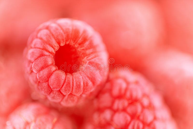 Raspberry Closeup. Isolated on Stock Image - Image of leaf, group: 13200427