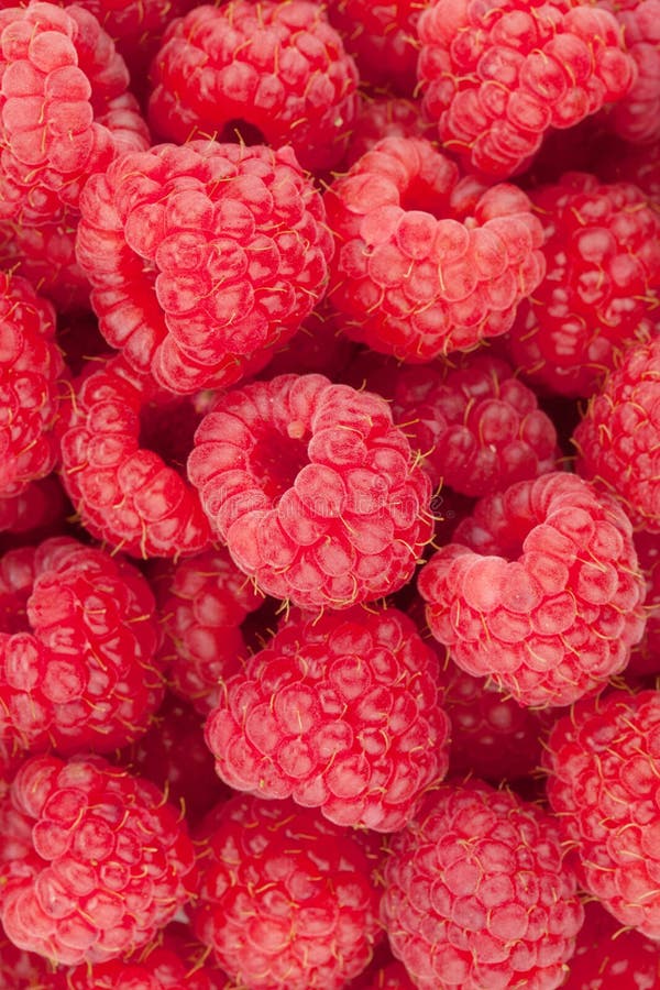 Raspberry Closeup. Isolated on Stock Image - Image of leaf, group: 13200427