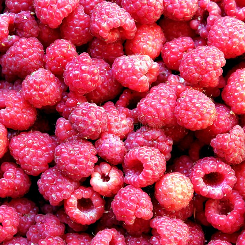 Raspberry Closeup Texture for Background Stock Image - Image of plant ...