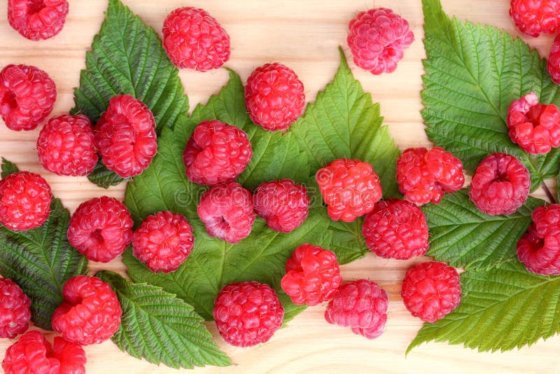 Raspberry Closeup, Top View. Berries and Leaves Stock Image - Image of ...