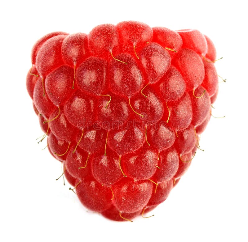 Raspberry stock photo. Image of ripe, freshness, juicy - 40731610