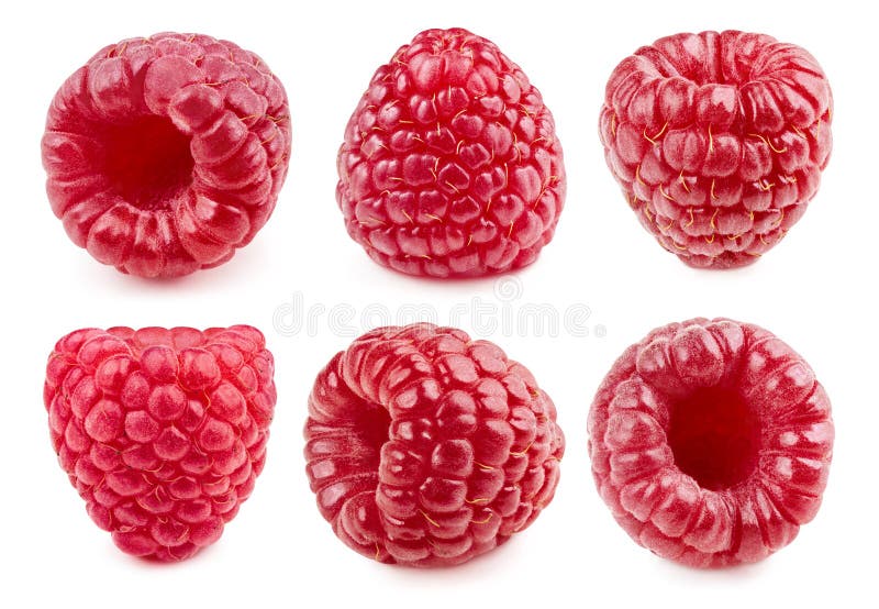 Raspberry Collection Clipping Path Stock Image - Image of isolated ...