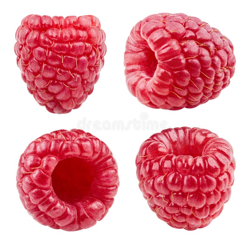 Raspberry Collection Clipping Path Stock Image - Image of fresh, studio ...