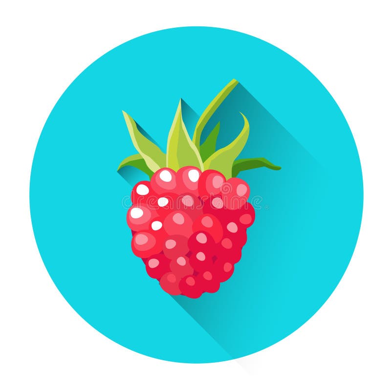 Raspberry Colorful Berry Icon Stock Vector - Illustration of ...