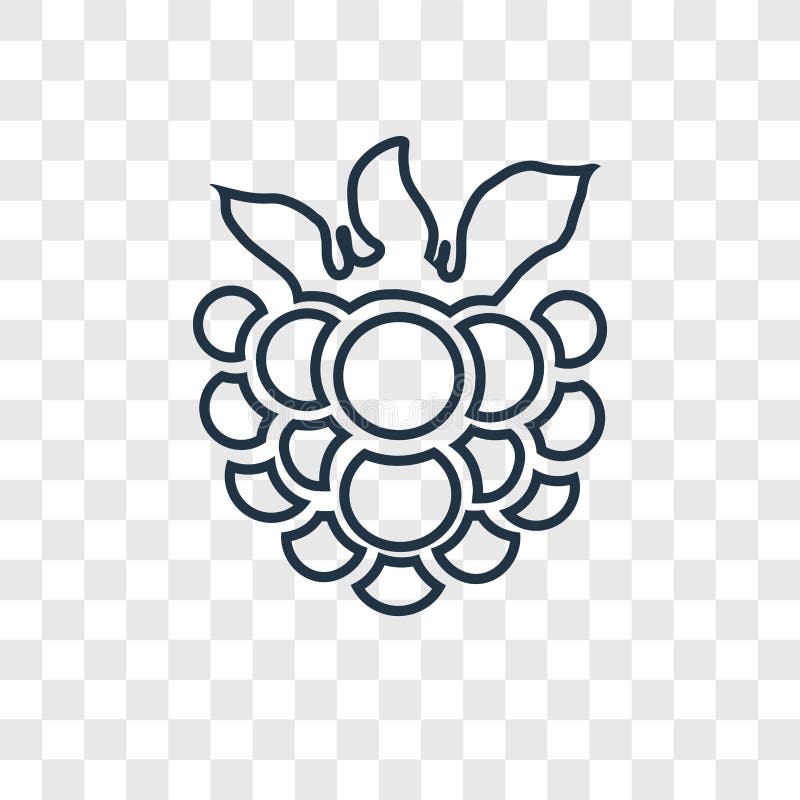 Raspberry Concept Vector Linear Icon Isolated on Transparent Background ...