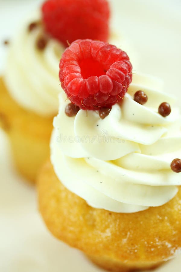 Raspberry cup cake stock photo. Image of raspberry, yummy - 26376236