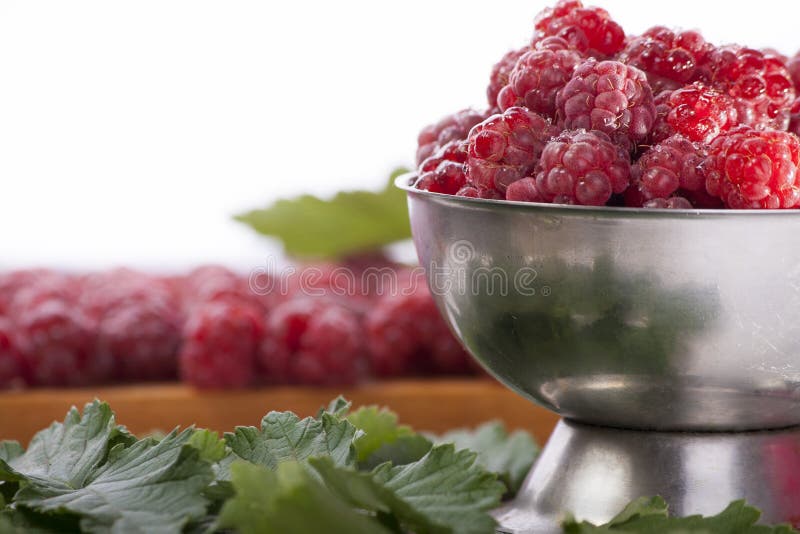 Raspberry in cup stock image. Image of dish, berries - 33607983