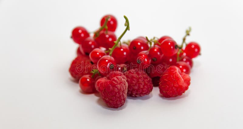 Raspberry and Current on White Stock Photo - Image of green, fruits ...
