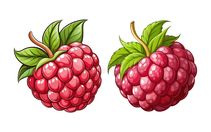 Raspberry 3d Vector Sticker Design Stock Illustration - Illustration of ...