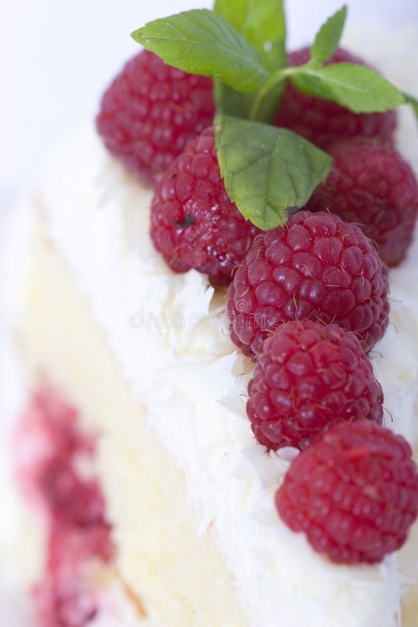 Raspberry dessert stock image. Image of mint, cake, pound - 1497573