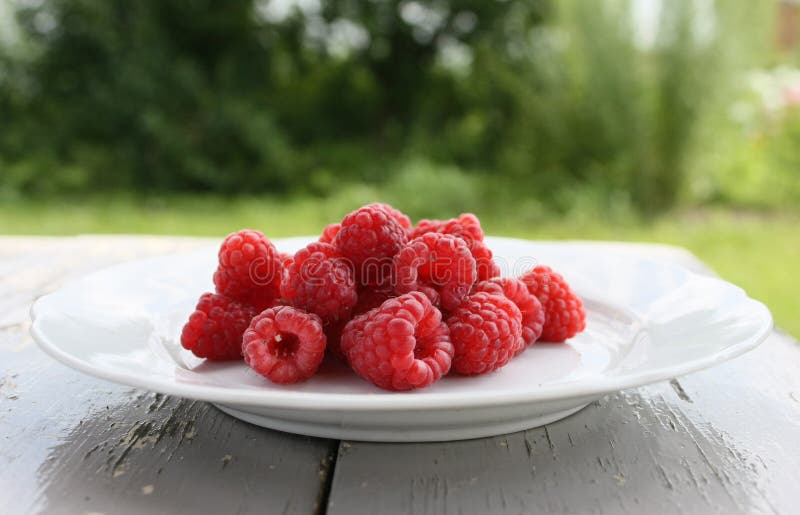Raspberry on a Dish stock photo. Image of sweet, open - 7536590