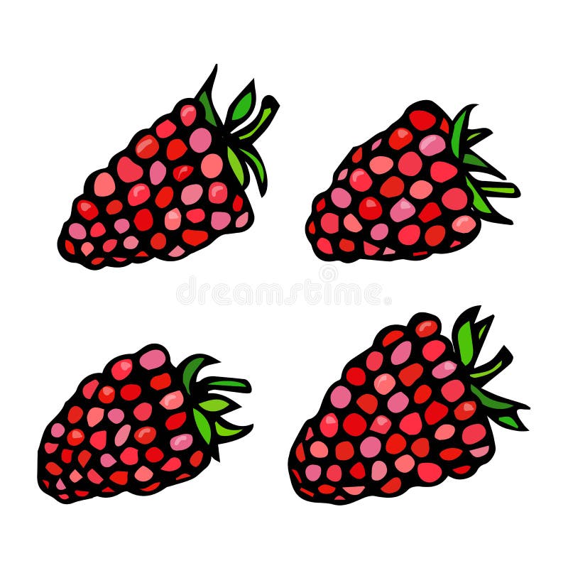Raspberry Doodle Style Vector Sketch, Isolated on White Background ...