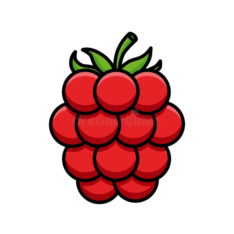 Raspberry Fruit Illustration Stock Vector - Illustration of grape ...