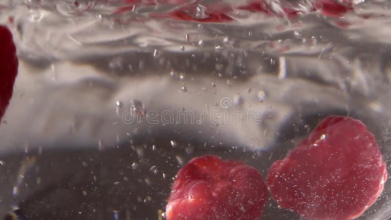 Raspberry drops in water stock video. Video of fresh - 114461301