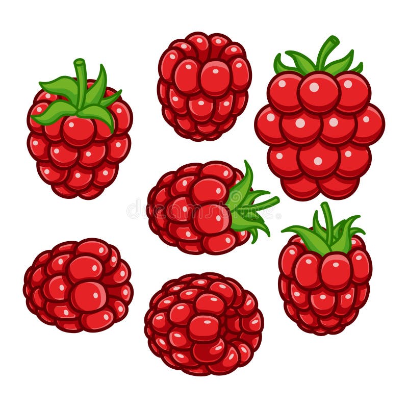 Raspberry, are Elegantly Arranged To Showcase Their Shapes and Colors ...