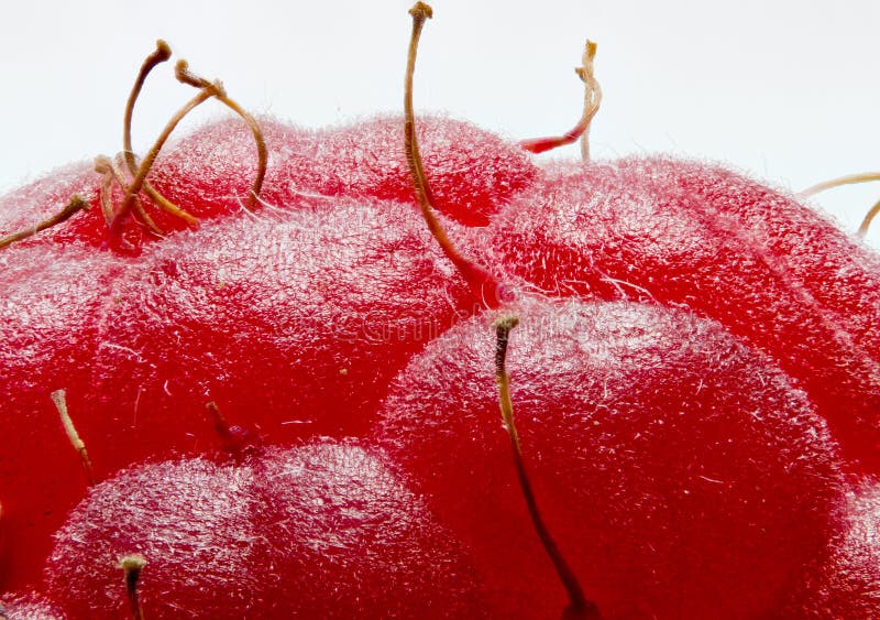 Raspberry (extreme macro) stock photo. Image of super - 49224930