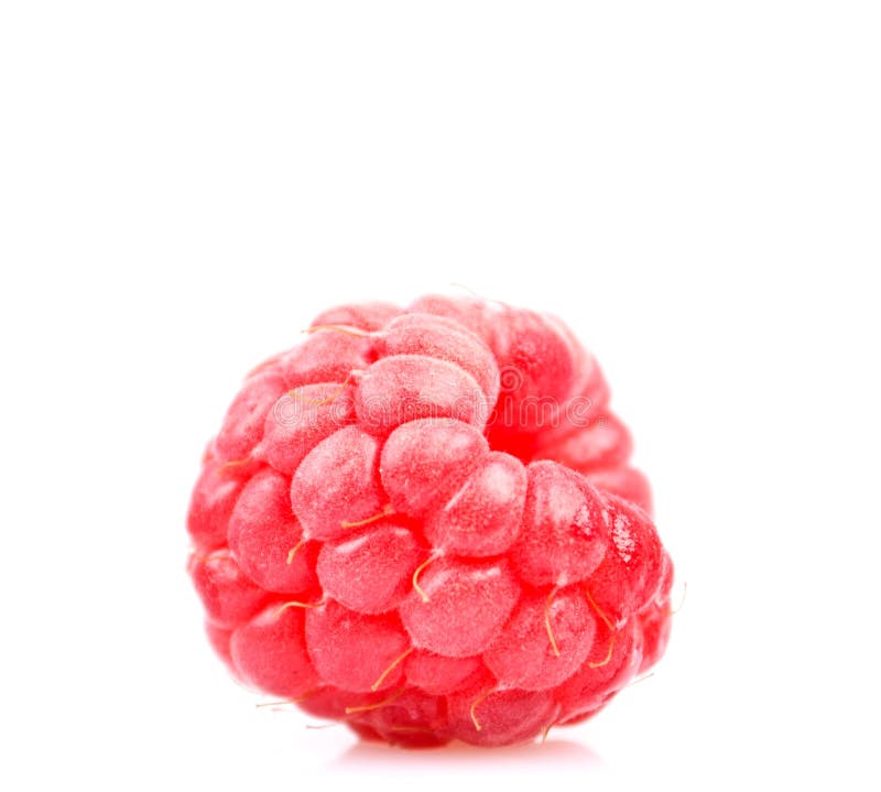 Raspberry (extreme macro) stock photo. Image of super - 49224930