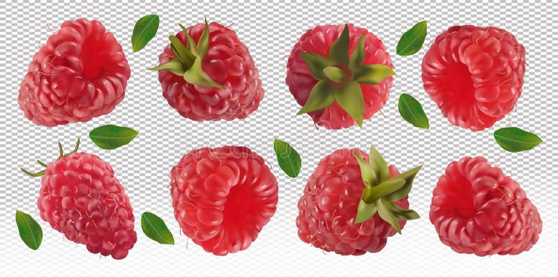 Raspberry Falling from Different Angles. Flying Raspberry with Green ...