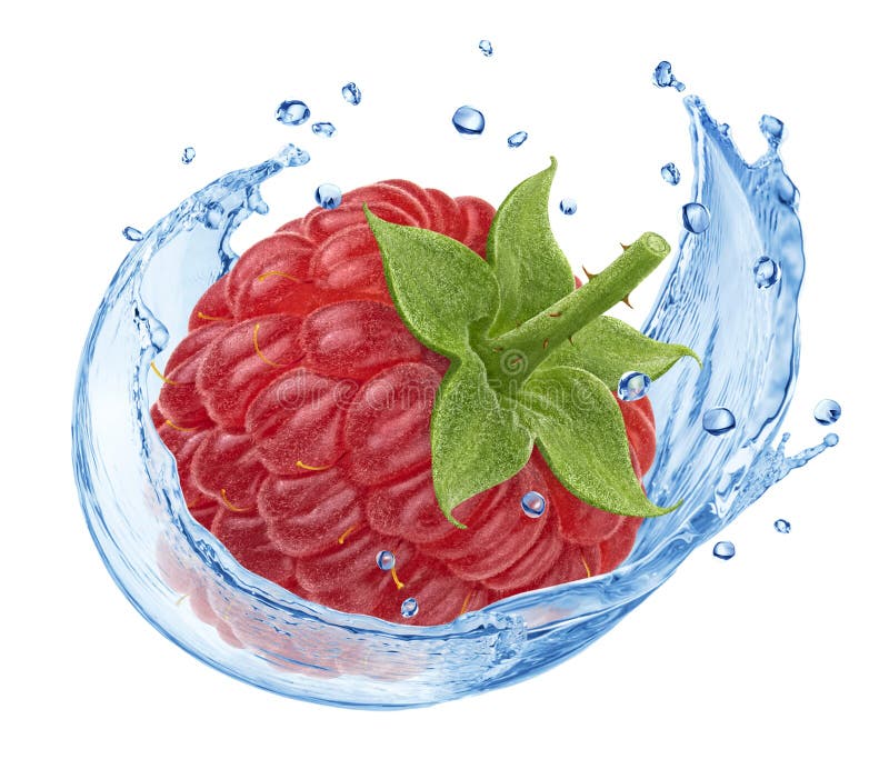 Raspberry Falling into White Yogurt Stock Illustration - Illustration ...