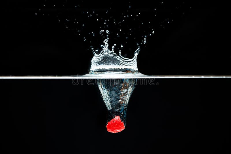 Raspberry Falls Deeply Under Water with a Big Splash. Stock Image ...