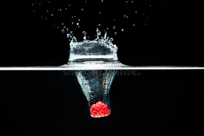 Raspberry Falls Deeply Under Water with a Big Splash. Stock Image ...