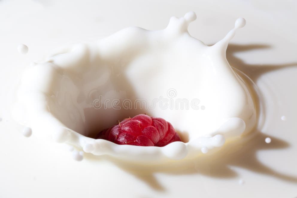 Raspberry falls into milk stock image. Image of breakfast - 15228095