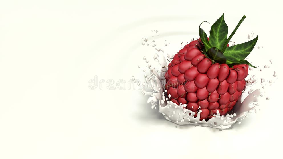 Raspberry falls into milk stock illustration. Illustration of falls ...