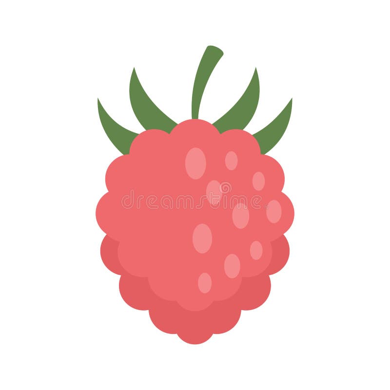 Raspberry Fazz Icon Flat Isolated Vector Stock Vector - Illustration of ...