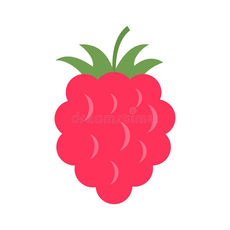 Raspberry Food Icon Color Outline Vector Stock Vector - Illustration of ...
