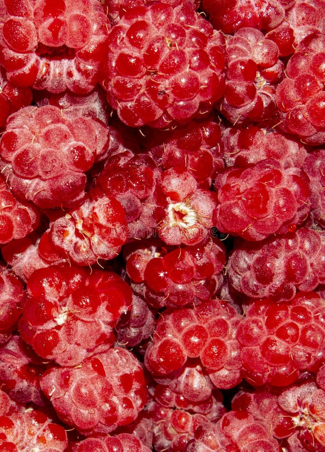 Raspberry Forest Berry.Raspberry Background Top View. Stock Photo ...