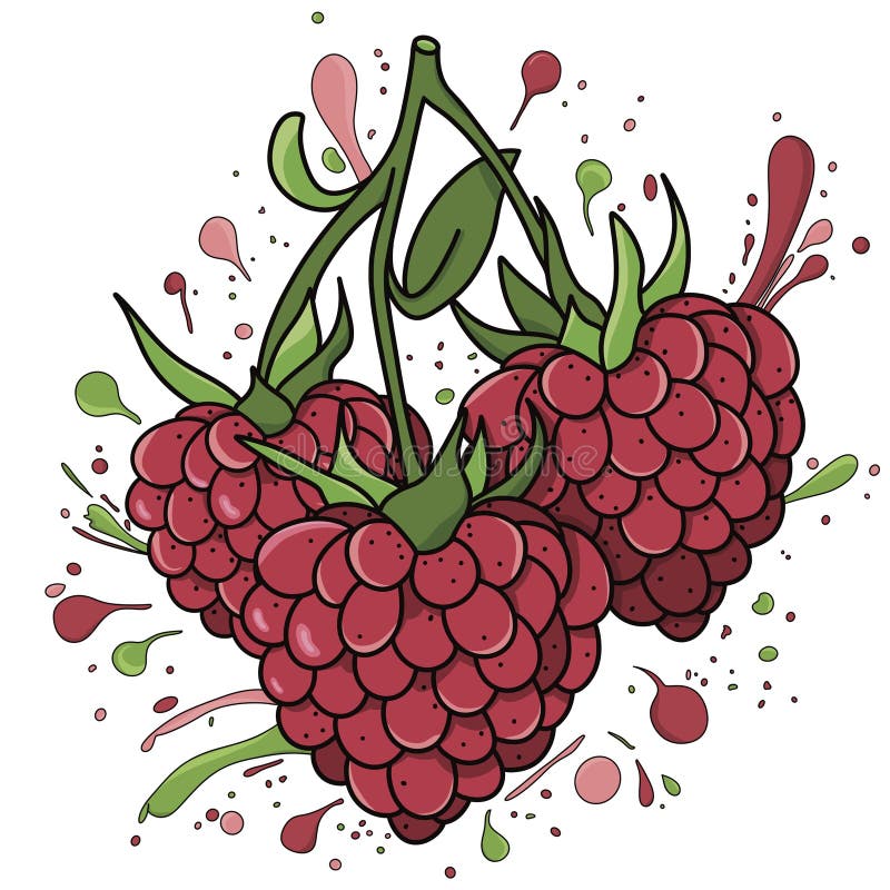 Raspberry in the Form of a Heart Illustration Stock Illustration ...