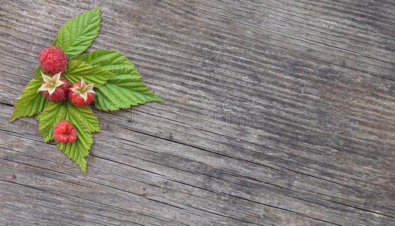 Raspberry Frame stock photo. Image of freshness, ingredient - 7859454