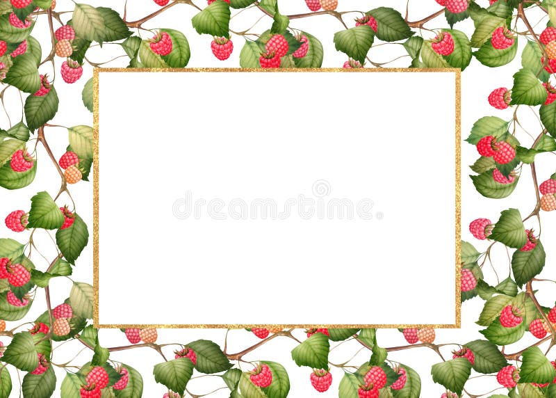 Raspberry Frame with Berries and Leaves, Hand-drawn Botanical ...