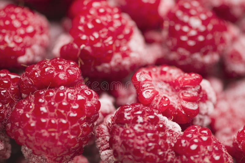 Raspberry fresh stock photo. Image of healthy, freeze - 53433788