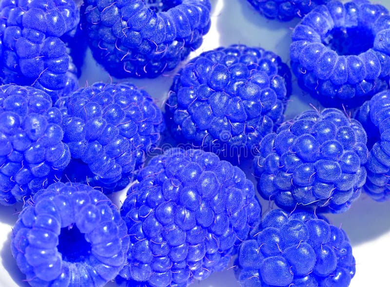 Blue concept stock photo. Image of show, vehicle, concept - 62160