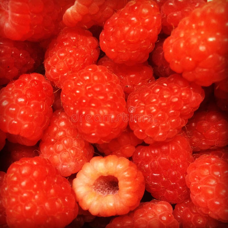 Raspberry editorial image. Image of fresh, raspberry - 42798660