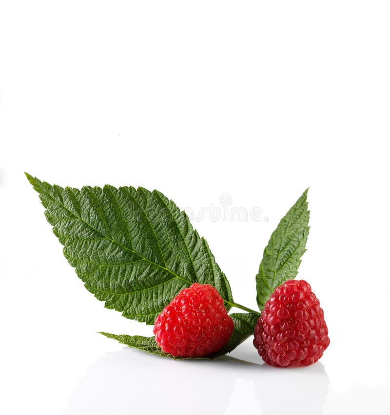 Raspberry stock image. Image of color, healthy, background - 44326025