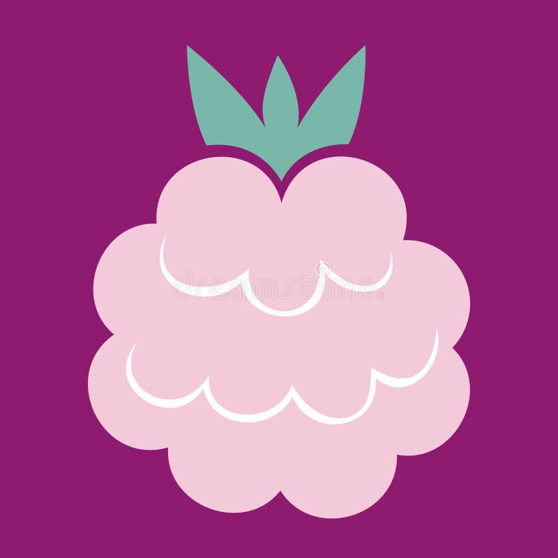 Raspberry front view. stock vector. Illustration of organic - 250825260