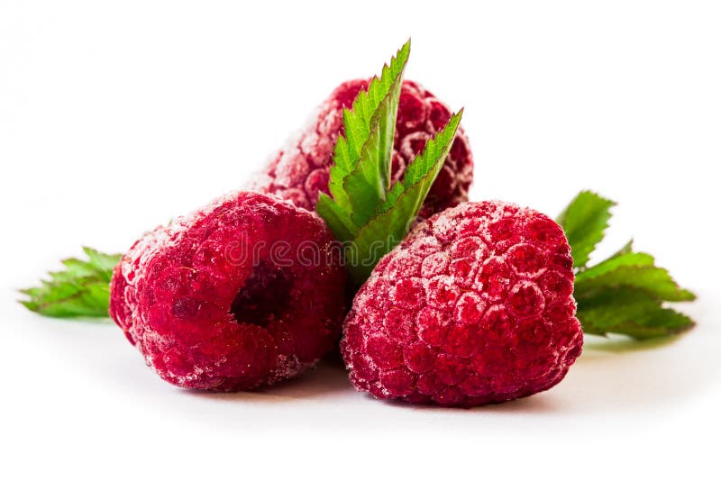 Raspberry with Frost and Leaves Stock Photo - Image of fruit, detail ...