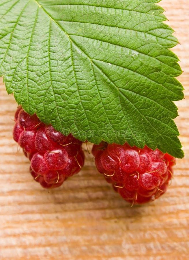 Raspberry Fruit with Stem and Leaves Stock Photo - Image of diet, food ...